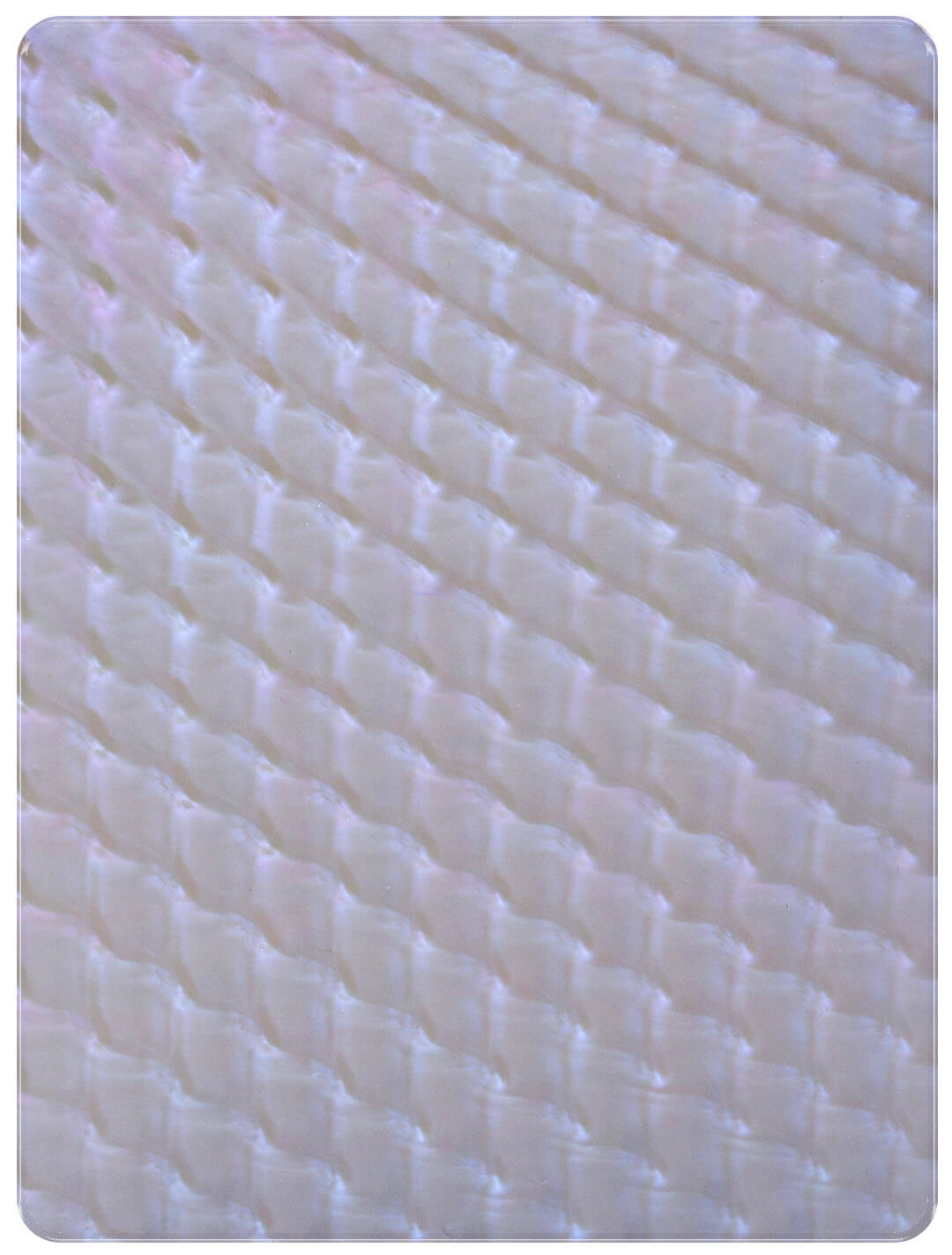 CB Series - Echo Plastic