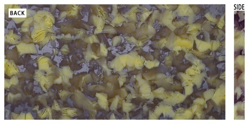 Fancy dry block - Echo Plastic