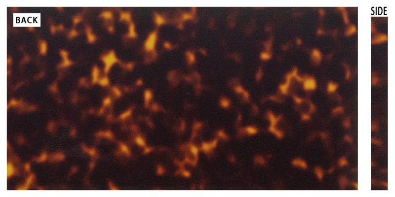 Havanas - Echo Plastic