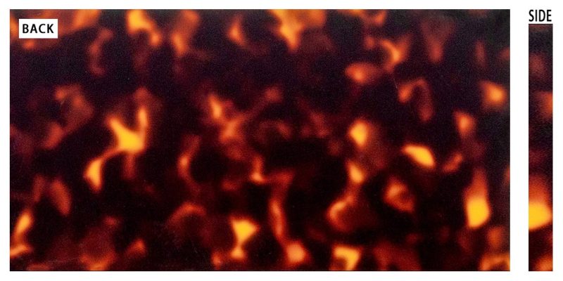 Havanas - Echo Plastic