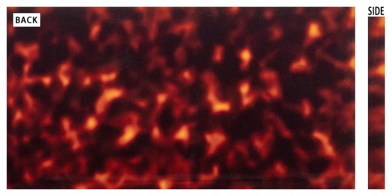 Havanas - Echo Plastic