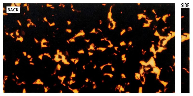 Havanas - Echo Plastic