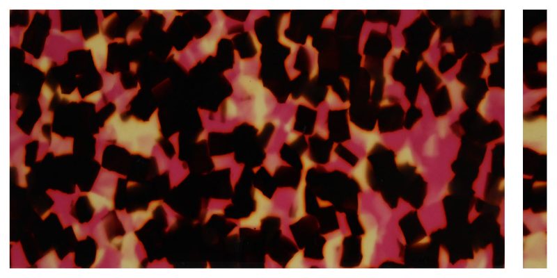 Havanas - Echo Plastic