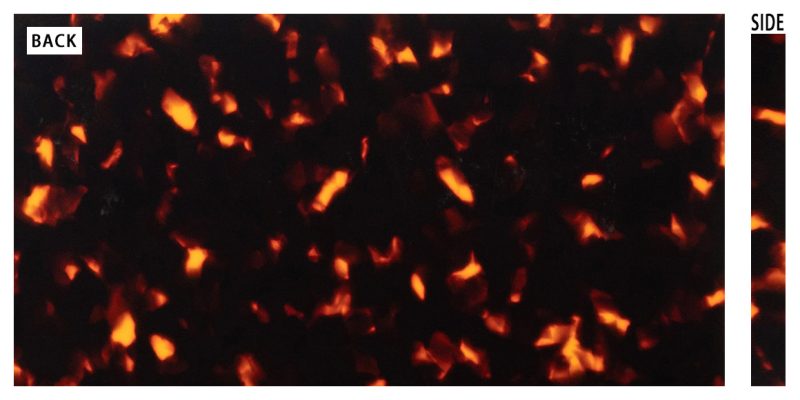 Havanas - Echo Plastic