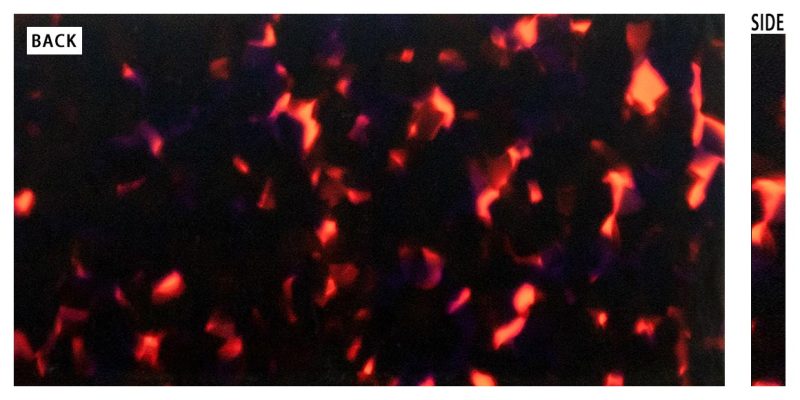 Havanas - Echo Plastic