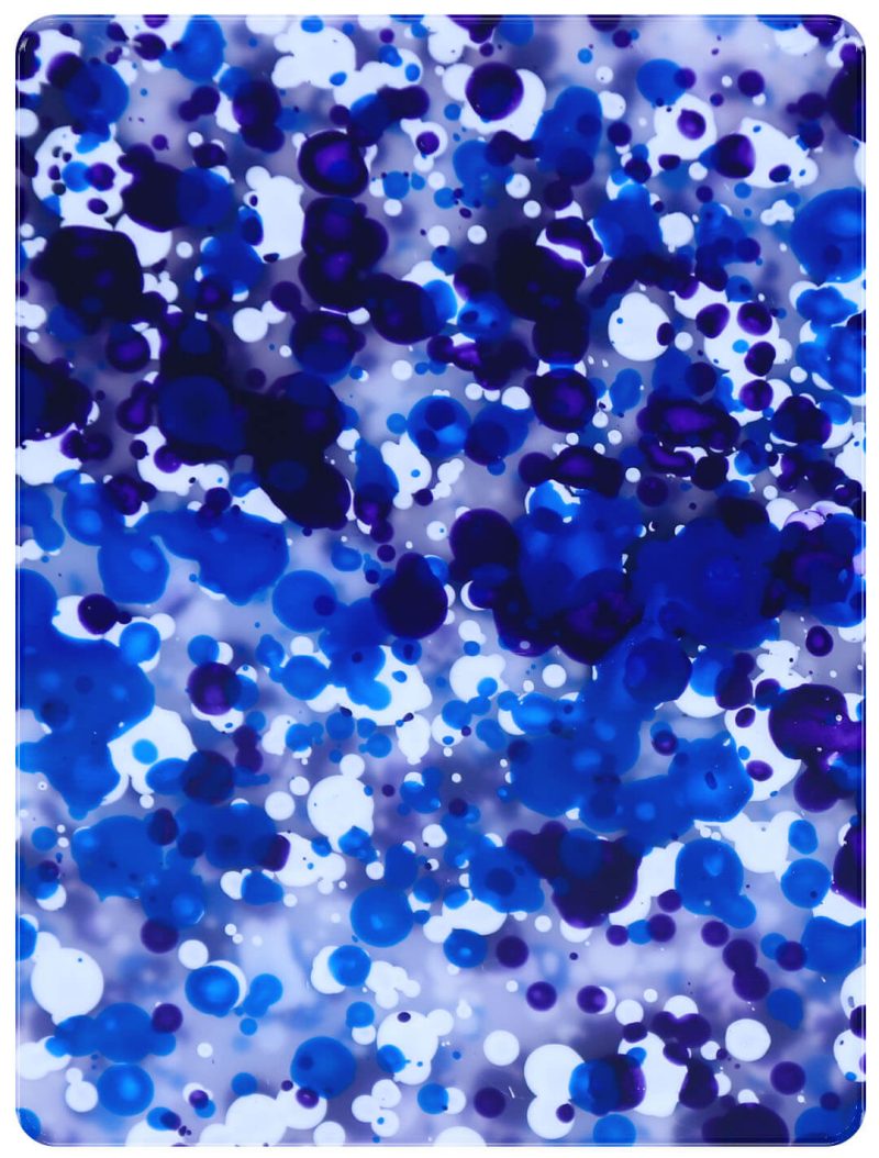 CP Series - Echo Plastic