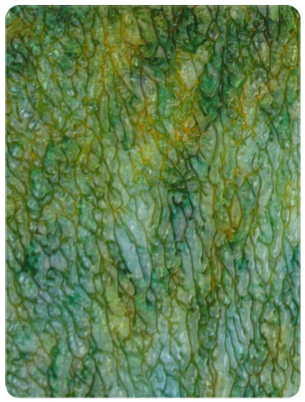 Acrylic Sheets for Sale Buy Textured Plexiglass Perspex Sheets